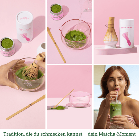 Matcha Pflanze: Alles zur Camellia sinensis | Matcha Baby
